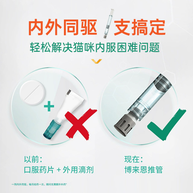 Bryan cat deworming and inner body inner and outside the body of the ...