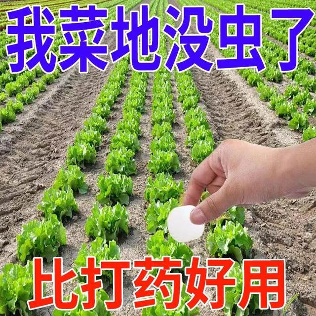 Vegetable gardening insect repellent tablets, saccharified boron ...