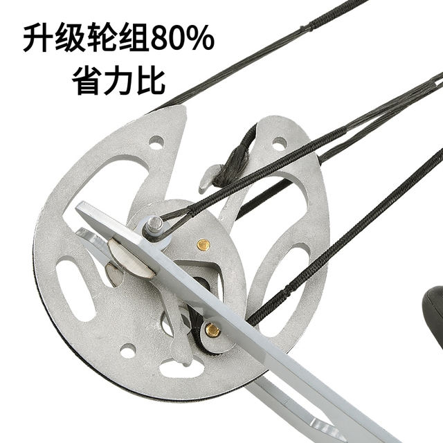 Mini Exquisite Compound Bow Small Triangular Pulley Bow Outdoor ...