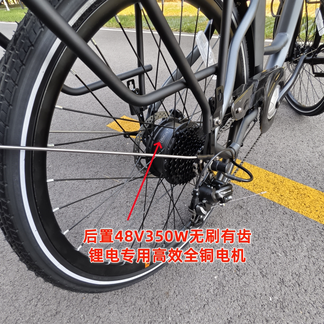 ZX200 power-assisted bicycle variable speed long-distance travel ...