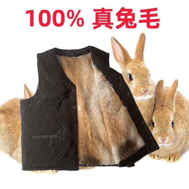 Fur coat, rabbits, vest fur mink fur color, light, warm, wind, cold ...