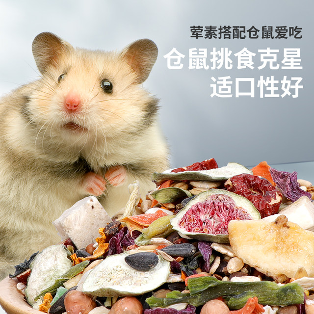 Squirrel Dr. Fruit and Vegetable Hamster Grain Golden Wire Bear Flower ...