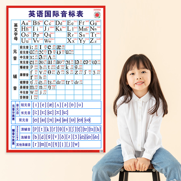 English phonetic alphabet wall chart 48 ipa wall stickers