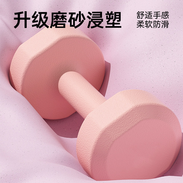 Ms. Dumbbell Ms. Fitness Home Exercise Pure Iron Dumb Bell 1kg/2kg/3KG ...