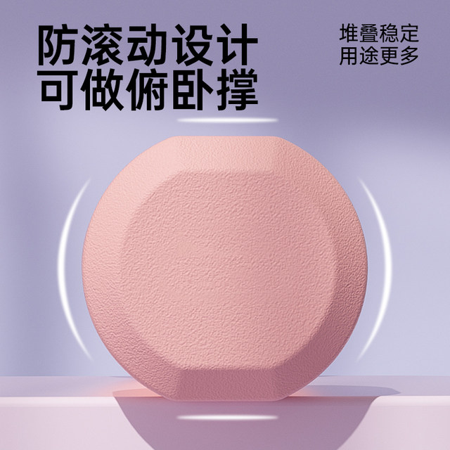 Ms. Dumbbell Ms. Fitness Home Exercise Pure Iron Dumb Bell 1kg/2kg/3KG ...