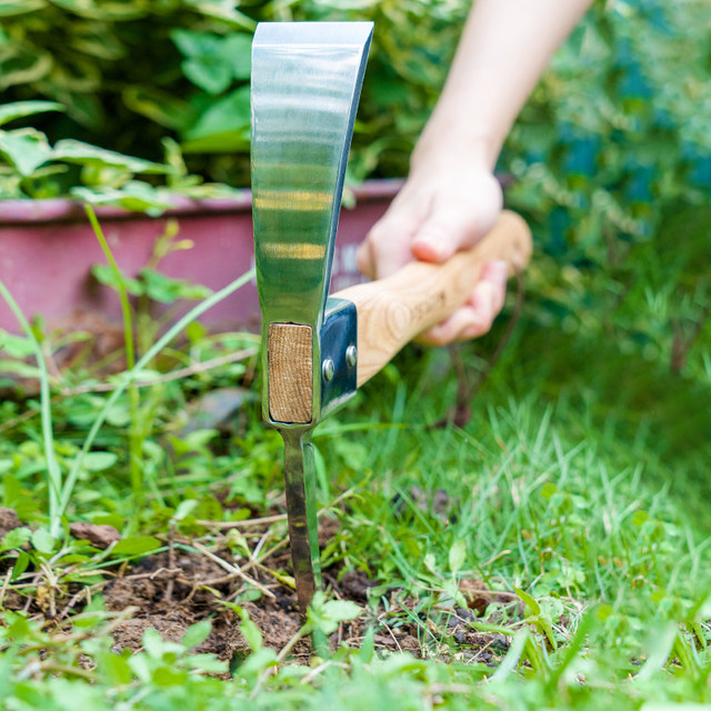 Berry/Bird Gardening Forest Haozui Hao Hao Ocean Digging Pine Earth Hoe Stainless Steel Flower Tools