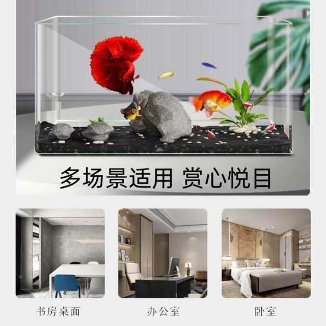 German acrylic fish tank integrated hexagonal dinosaur special cylinder ...