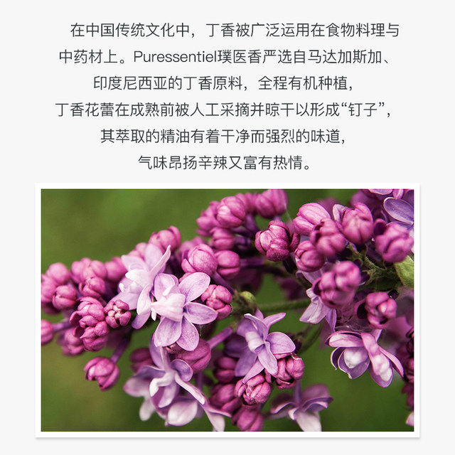 Lilac Bud unilateral essential oil natural plant aromatherapy 璞 璞 ...