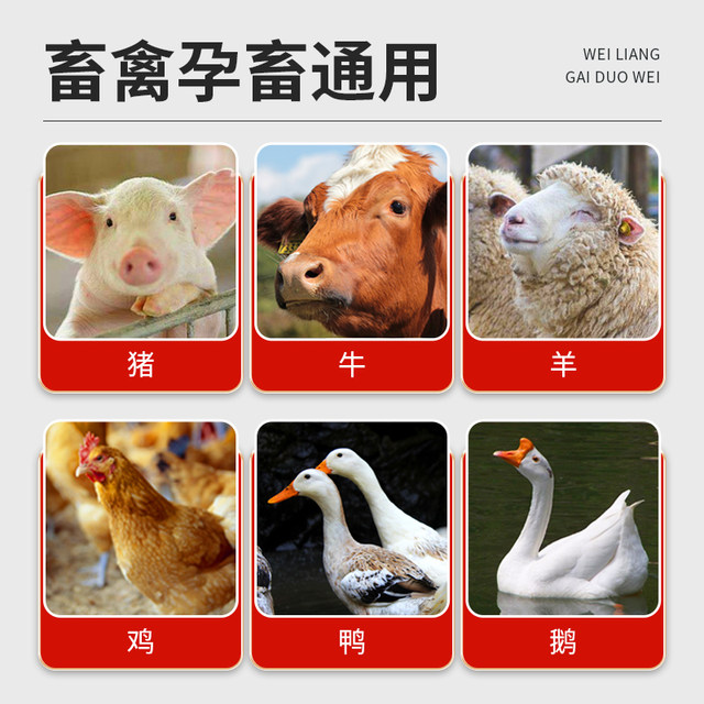 Beasts Eighteen Multi -Calcium Multi -dimensional Trace Element Aquatic ...