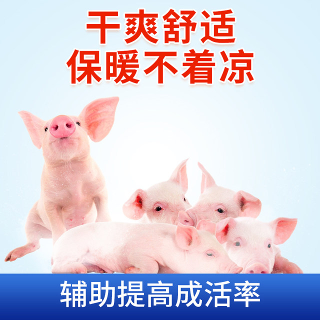 Animal Husbandry Piglet Midwifery Powder Piglet Soothing Moisture ...