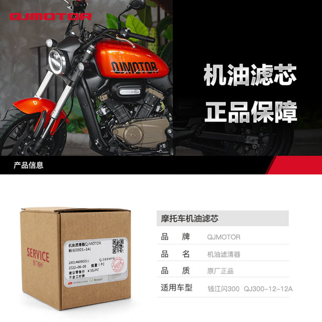 Qianjiang Motorcycle Flash 300S SRV350 QJ300-12-12A Oil Case Oil Filter Filter Witch