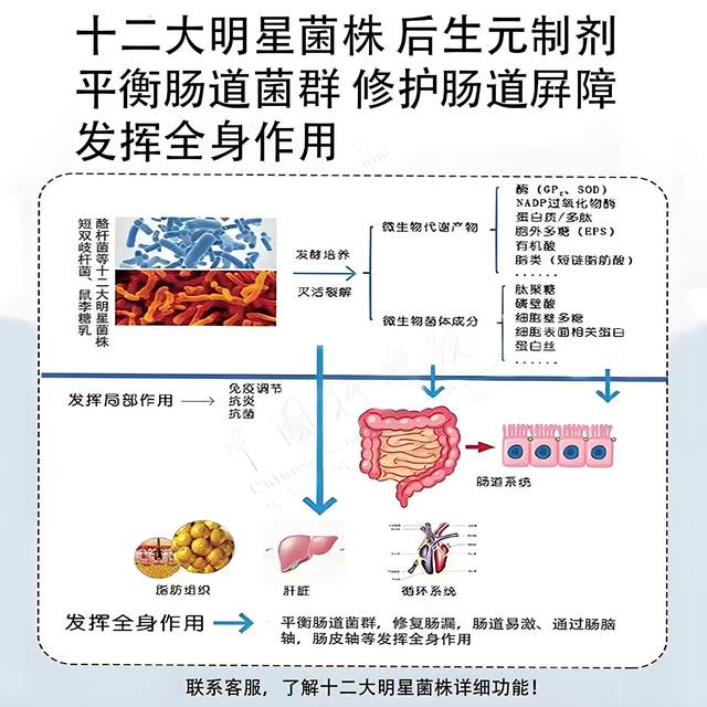 Zhongke postbiotic probiotics regulate gastrointestinal defecation ...