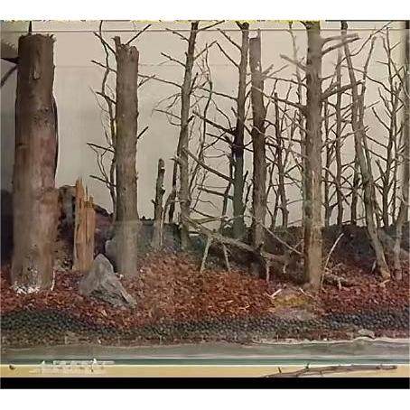 Fish Tank Sink Wood Forest Tree Steel Wastewood Rain Forest Tank ...