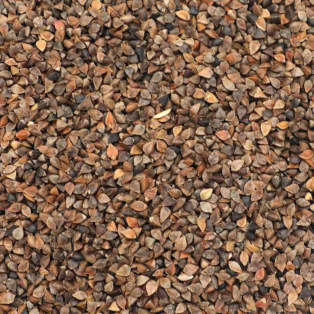10Jin [Jin equals 0.5 kg] Fresh hulled buckwheat raw grain brewing raw ...