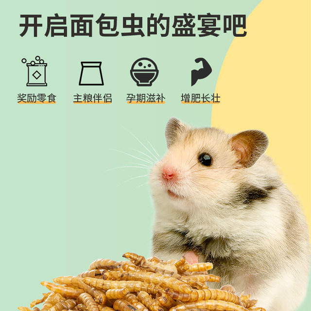 Hamster grain, bread, dry yellow powder turtle, mouse, hamster, the ...