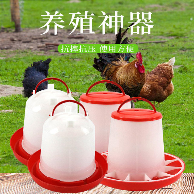 Chicken feeding trough, chicken kettle, drinking fountain, special ...