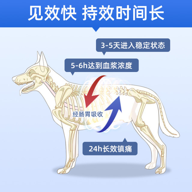 Meloxicam tablets, pet analgesic, dog and cat analgesic, joint anti ...