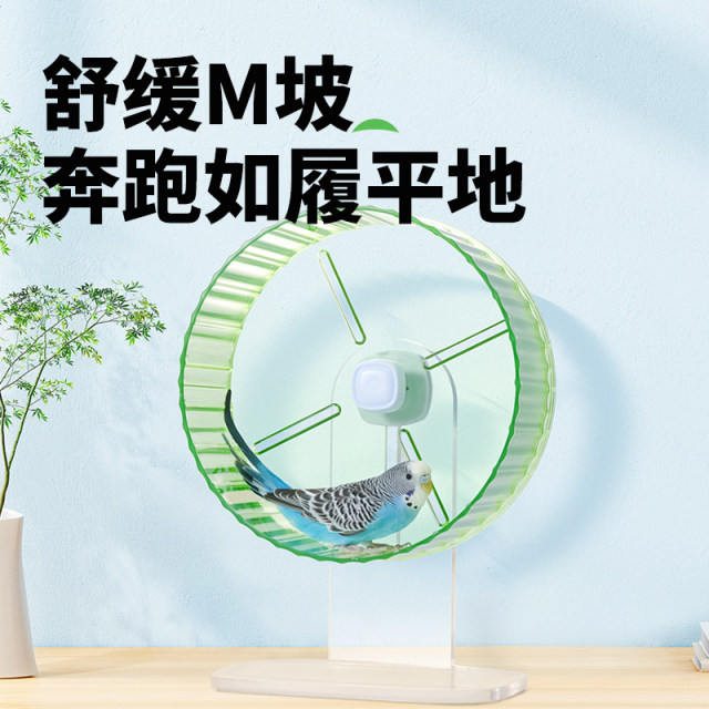 Parrot Running Run Little Sun Monk Peony Tiger Skin Bird's Exercise ...