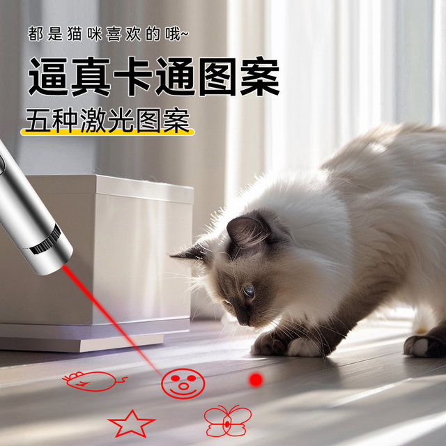 Digital display laser pointer, cat stick, infrared flashlight, laser ...