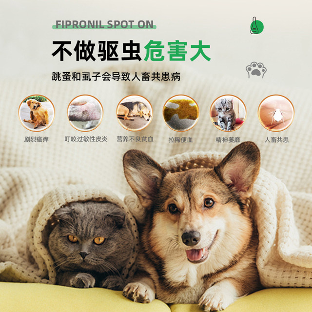 Cat and dog anthelmintic drug internal and external all-in-one pet ...