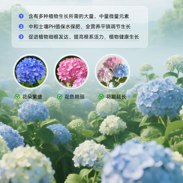 Hydrangea special nutrient solution blue-regulating agent to promote ...