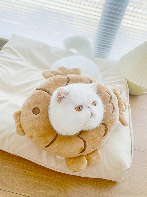 Cat Dog Planet PETSTAR Taiyaki pet Elizabeth protection circle cat ...