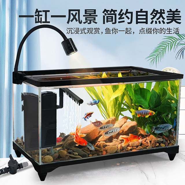 New fish tank South American stream tank living room small ecological ...