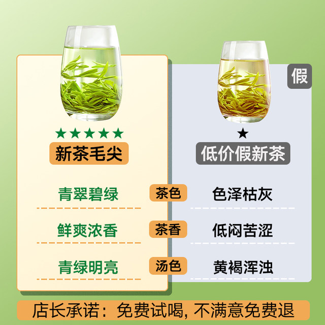 Ziyang Maojian 2025 New Tea Shaanxi Ankang Ziyang Tea Selenium-rich ...