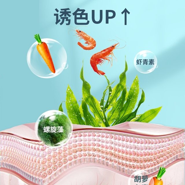 Yee hexagonal dinosaur feed hexagonal dragon doll fish, red worm fish ...