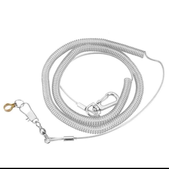 Birds use parrot to put flying ropes to traction ropes for walking ...