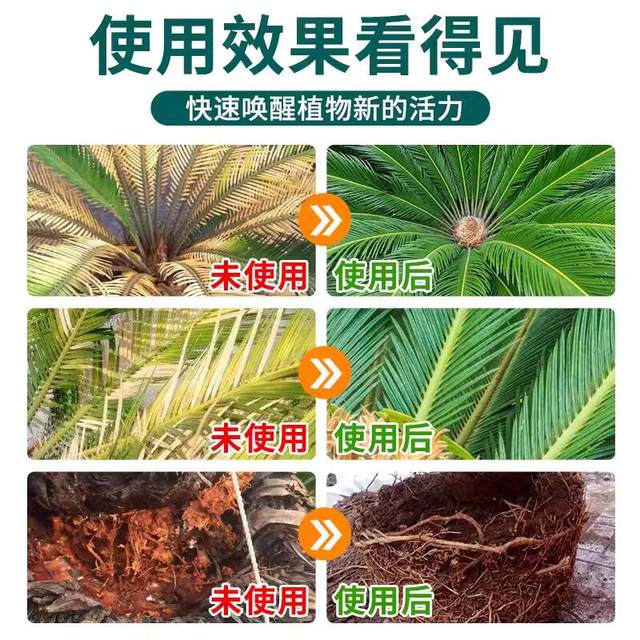 Special fertilizer nutrient solution for iron trees, green plant cycad ...