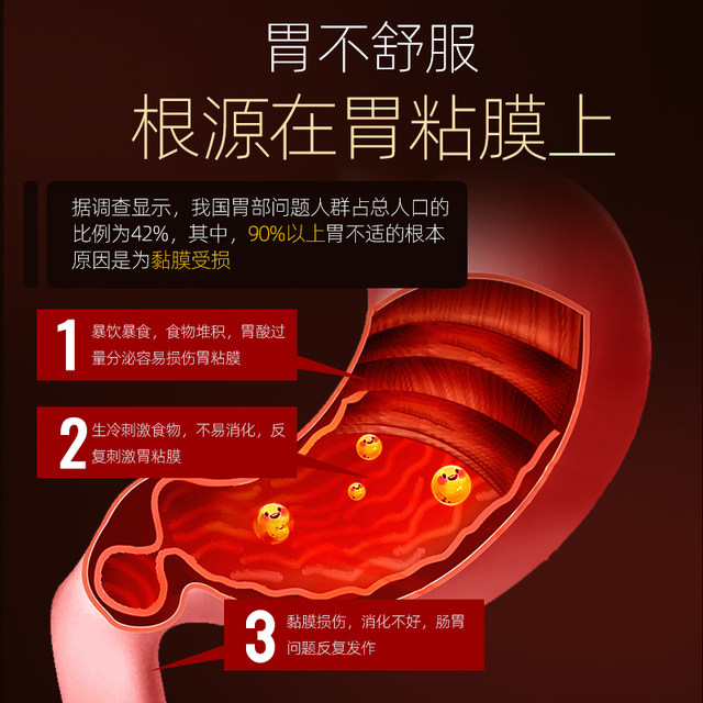 American PPQ stomach protection tablets glutamine entero ...
