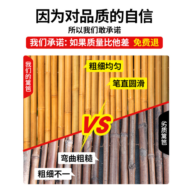 Garden Bamboo Raiders Fair Barnut Wall Outdoor Japanese Card Bamboo ...