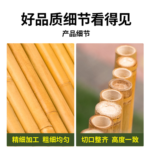 Garden Bamboo Raiders Fair Barnut Wall Outdoor Japanese Card Bamboo ...