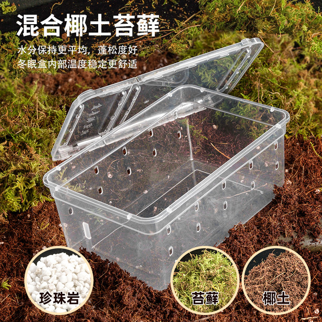 Tortoise hibernation box, dedicated coconut soil reptile breeding box ...