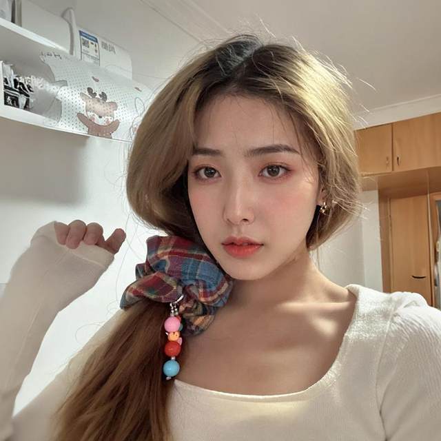 Fun Rainbow Plaid Large -intestine Hair High -level Design Twoa Hair ...