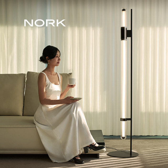 Nok Lighting Brilliant Floor Lamp Premium Living Room Ambient Light Bedroom Sofa Side Lamp ...