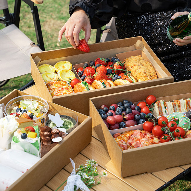 Picnic box bento disposable packing box spring outing camping outdoor ...