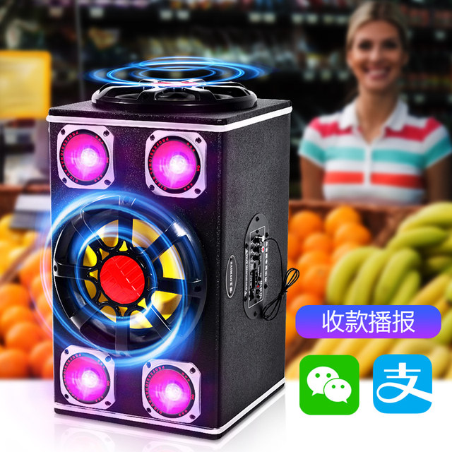 Large volume double bass car subwoofer 12V car truck audio 24V ...