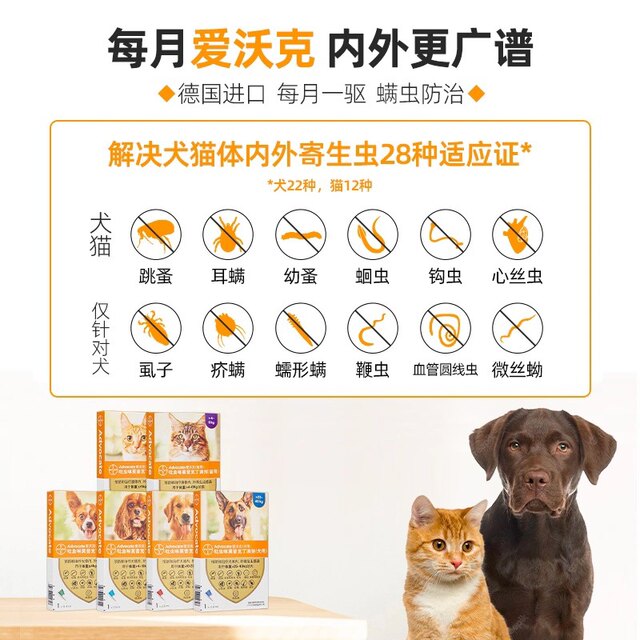 Bayer AiWalker cat internal and external deworming medicine 0.8ml ...