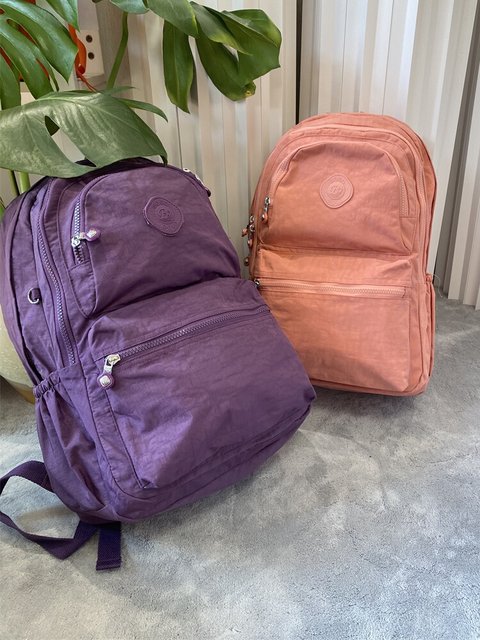 Internet celebrity backpack for women, large capacity, high-end travel ...