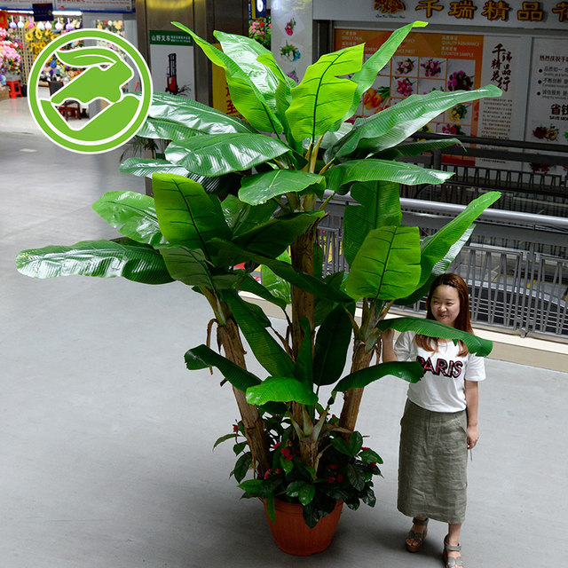 Large -scale simulation Basana Tree Room Hotel Bonsai Banana Tree Fake ...