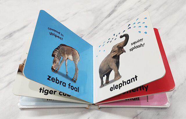 DK infant baby touch letter English original cognitive picture book DK ...