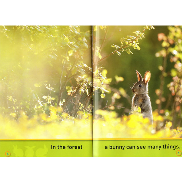 Entry level 123 stage National Geographic graded reading National ...