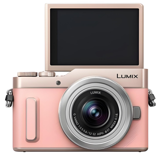 Panasonic/Panasonic GF10 GF9/8/7/6 micro -single camera single ...