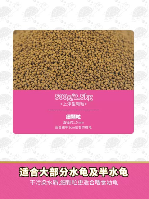 Inch Golden Turtle Food Feds Brazilian Csiculin Congress Turtle Grain ...