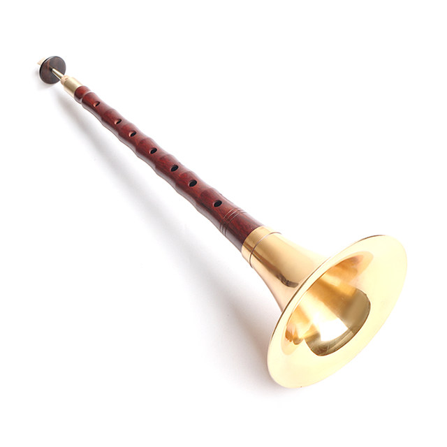 Xinyi suona musical instrument complete set for beginners and adults ...