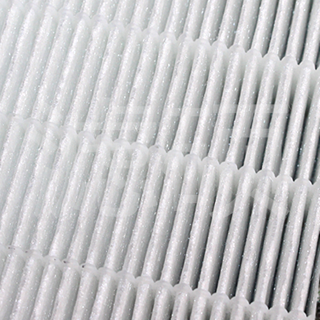 Adapted Euler Cat GT Black Cat R1 White Cat R2 Lightning Cat IQ Ballet ...