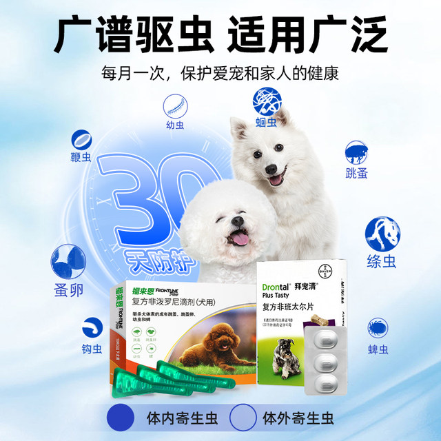 Bayer Dog worshiped the inner body of deworming medicine, blessing, and ...