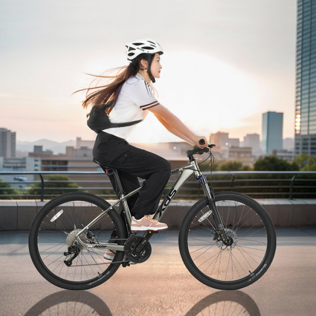 xds Xidesheng Mountain Bike Hero 300 Aluminum Alloy 27 Speed 27.5 Inch ...